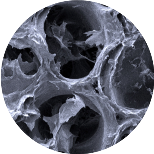 NativeCoat™ Bone ECM Surface Coating - Xylyx