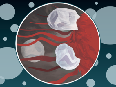 Cambridge Bioscience: UK-based specialist life science distributor