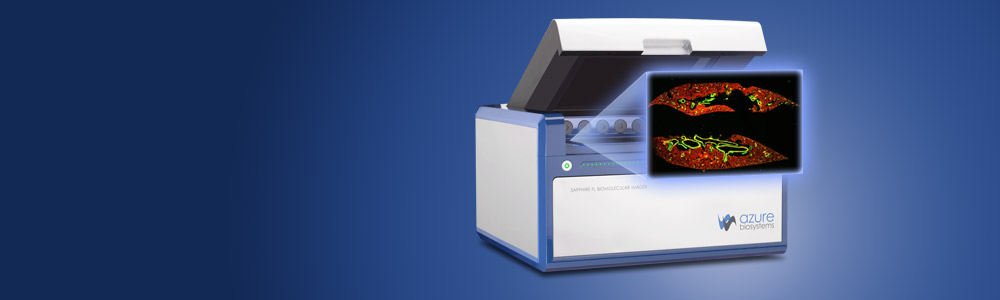 Cambridge Bioscience: UK-based distributor of life science research ...