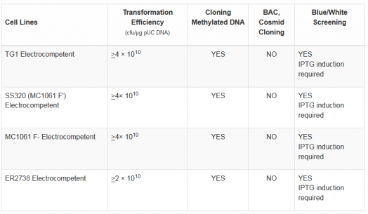 Phage display electrocompetent cells