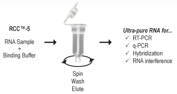 RNA Clean & Concentrator™ kits