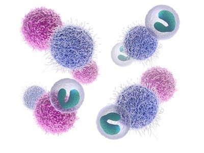 Cambridge Bioscience: UK-based specialist life science distributor