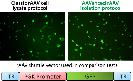 AAVanced™ one-step rAAV particle isolation