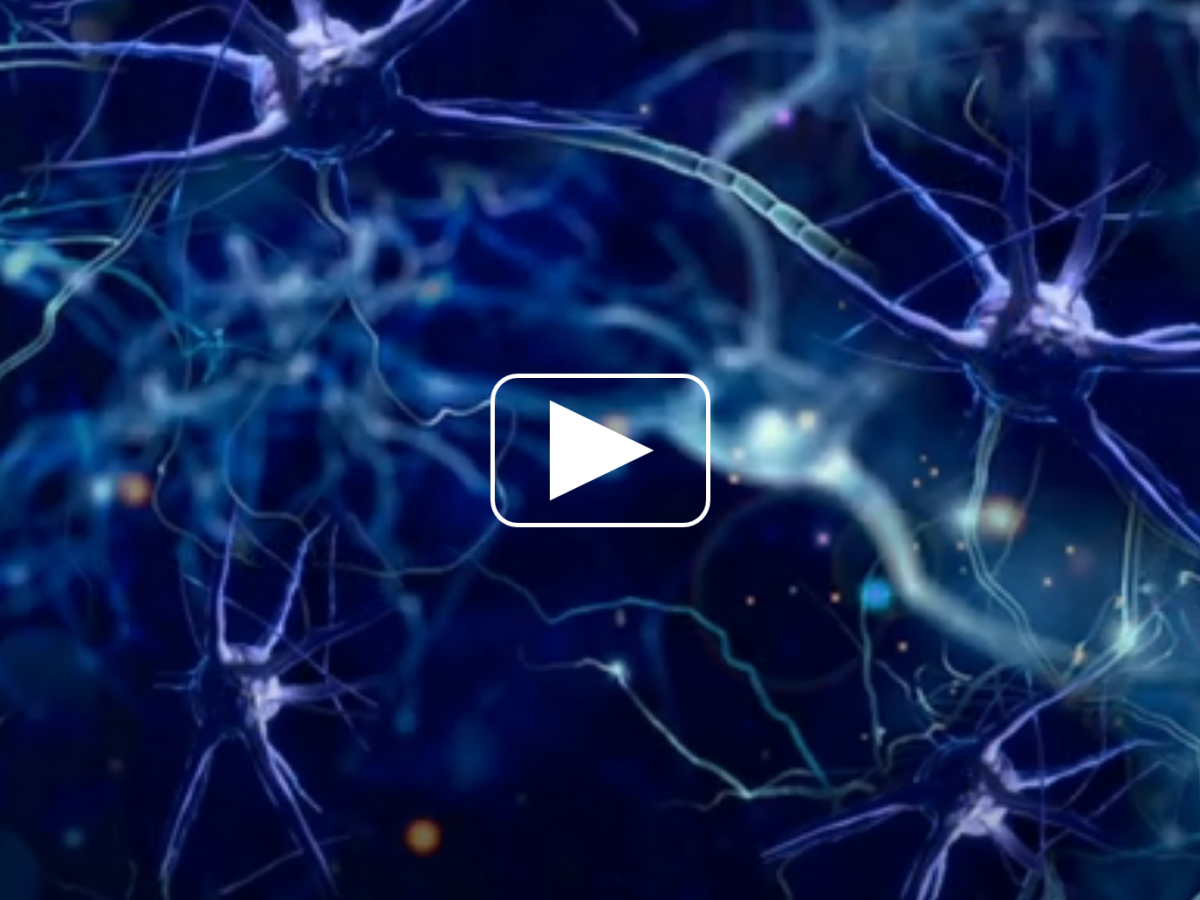 Cambridge Bioscience: UK-based specialist life science distributor