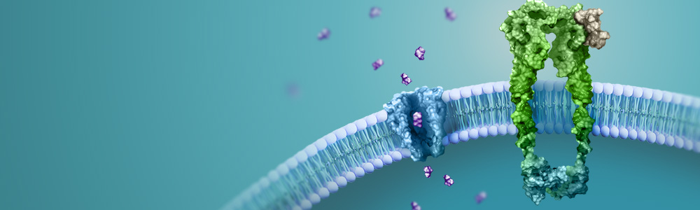 Cambridge Bioscience: UK-based distributor of life science research ...