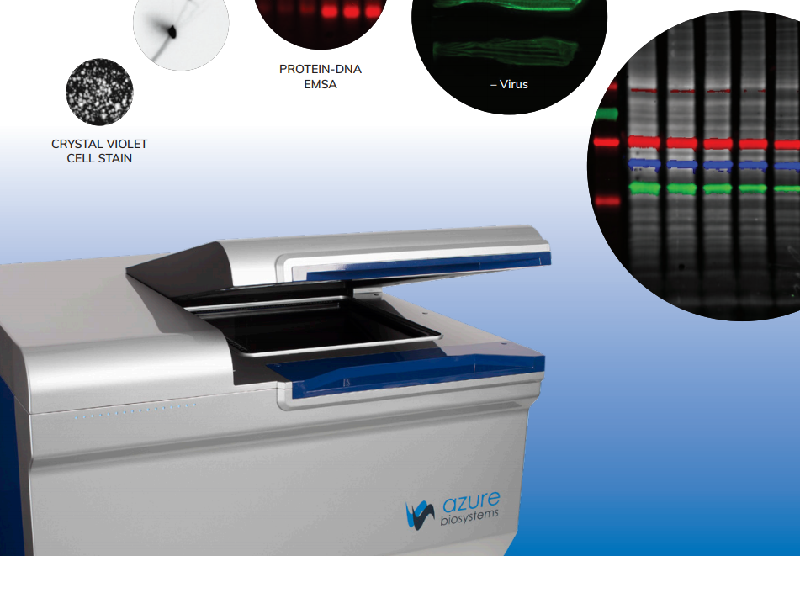 Azure Biosystems products from Cambridge Bioscience, life science ...