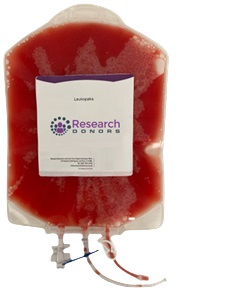 Fresh human leukopaks UK: Cambridge Bioscience