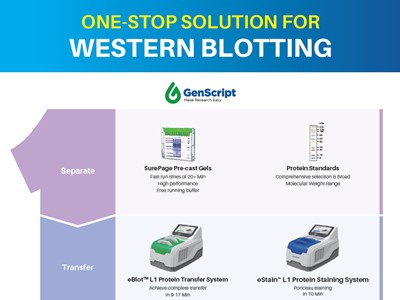 GenScript Biotech products from Cambridge Bioscience