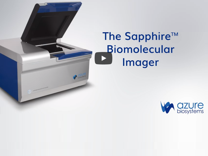 Western blot imaging: Cambridge Bioscience, life science research product distributor