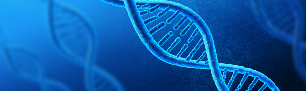 Cambridge Bioscience: UK-based distributor of life science research products