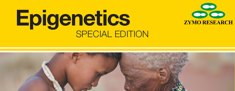 Epigenetics Journal