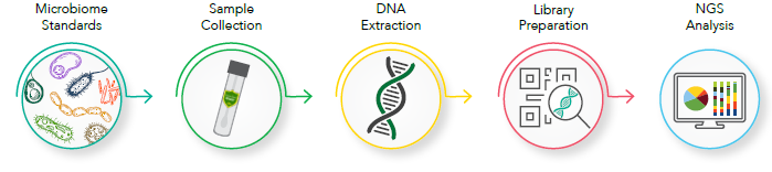 Microbiomics and metagenomics: Cambridge Bioscience, life science research product distributor